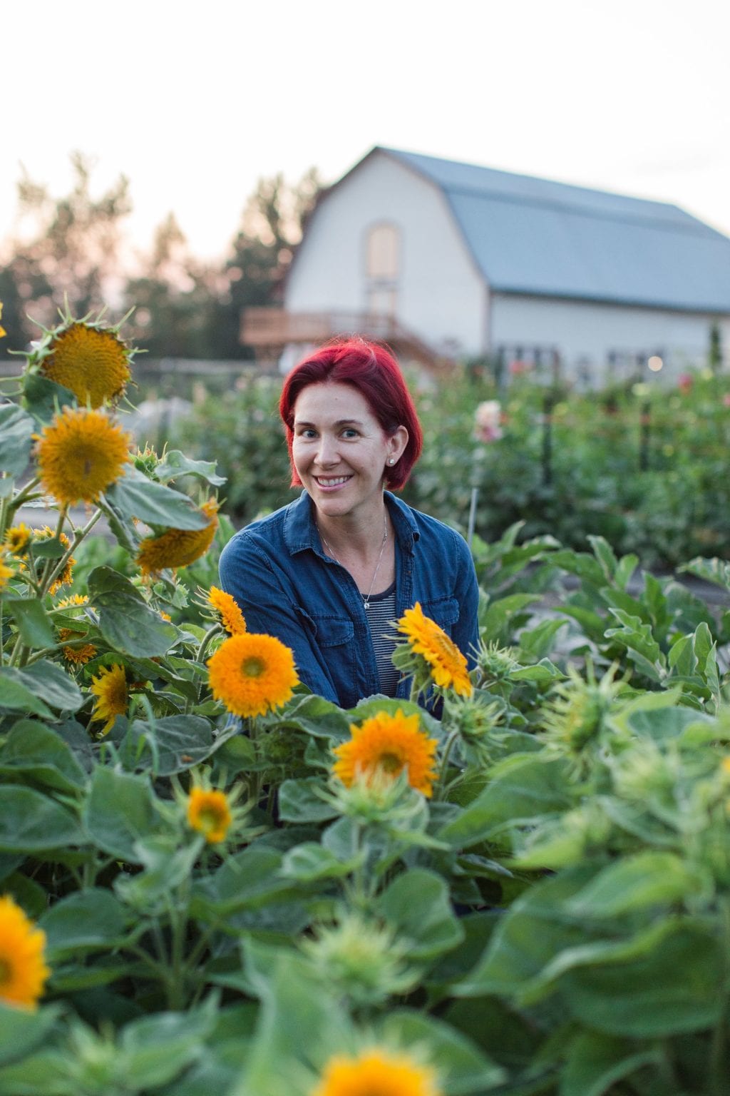 Flower Farms Of The Pacific Northwest | Beautiful Flower Farm