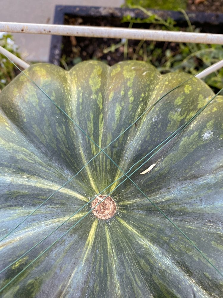 Fall Porch DIY Decor | DIY Pumpkin Obelisk Towers For Fall Porch Decor