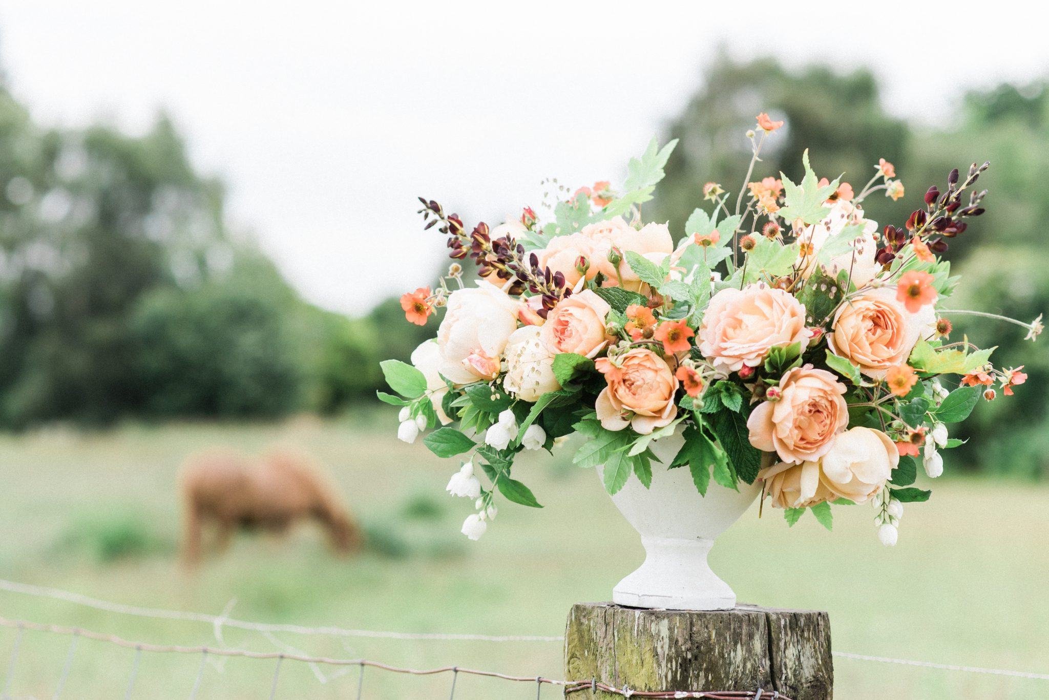 Exploring Flower Farms in the Pacific Northwest - Home With Holly J