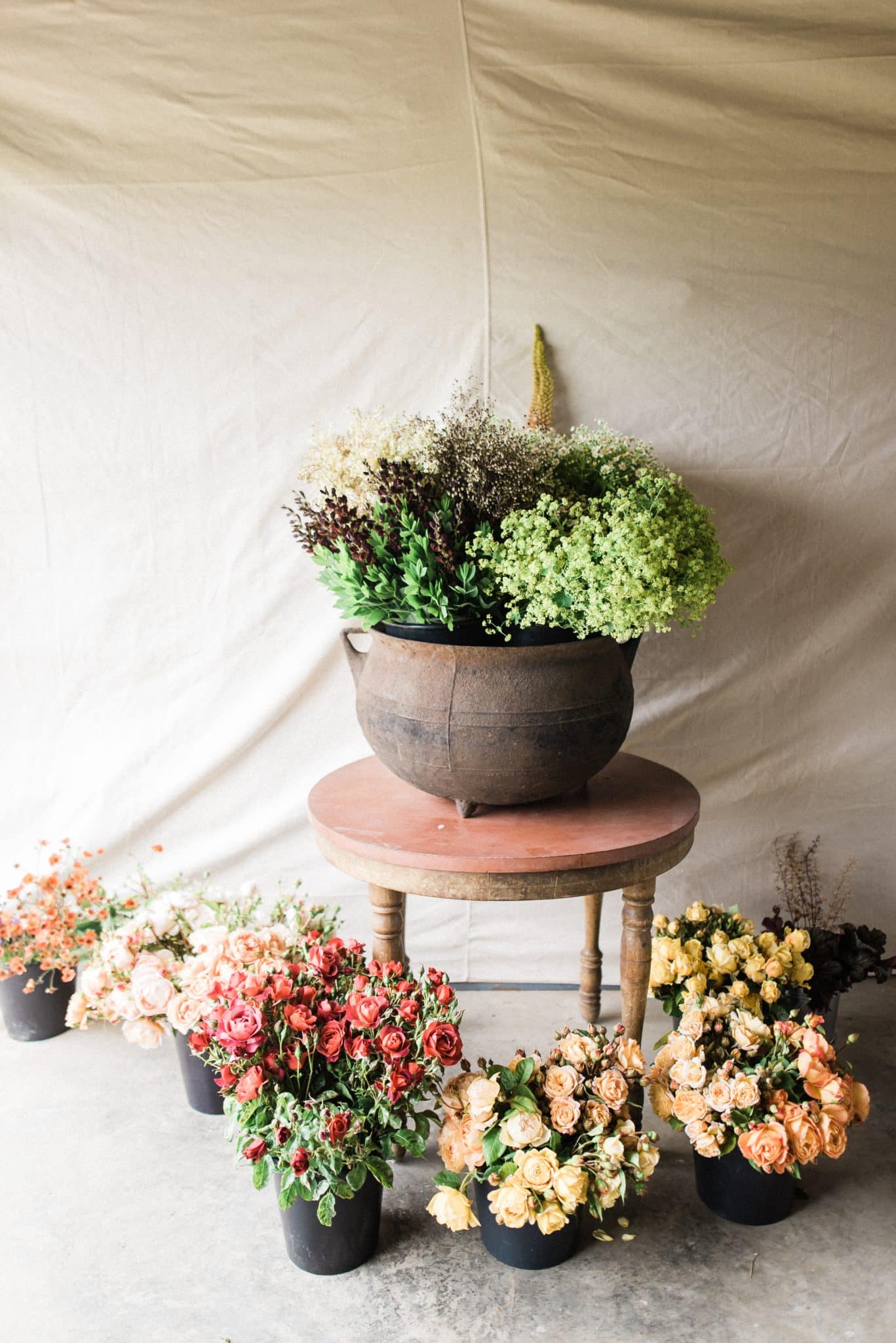 Exploring Flower Farms in the Pacific Northwest - Home With Holly J